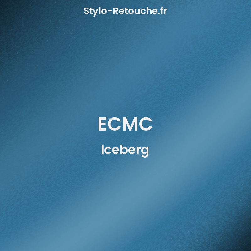 Stylo Retouche Ford ECMC Iceberg - Stylo-Retouche.fr