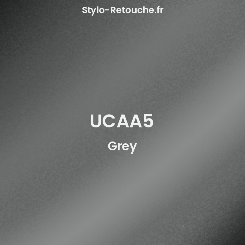 Stylo Retouche Toyota UCAA5 Grey - Stylo-Retouche.fr