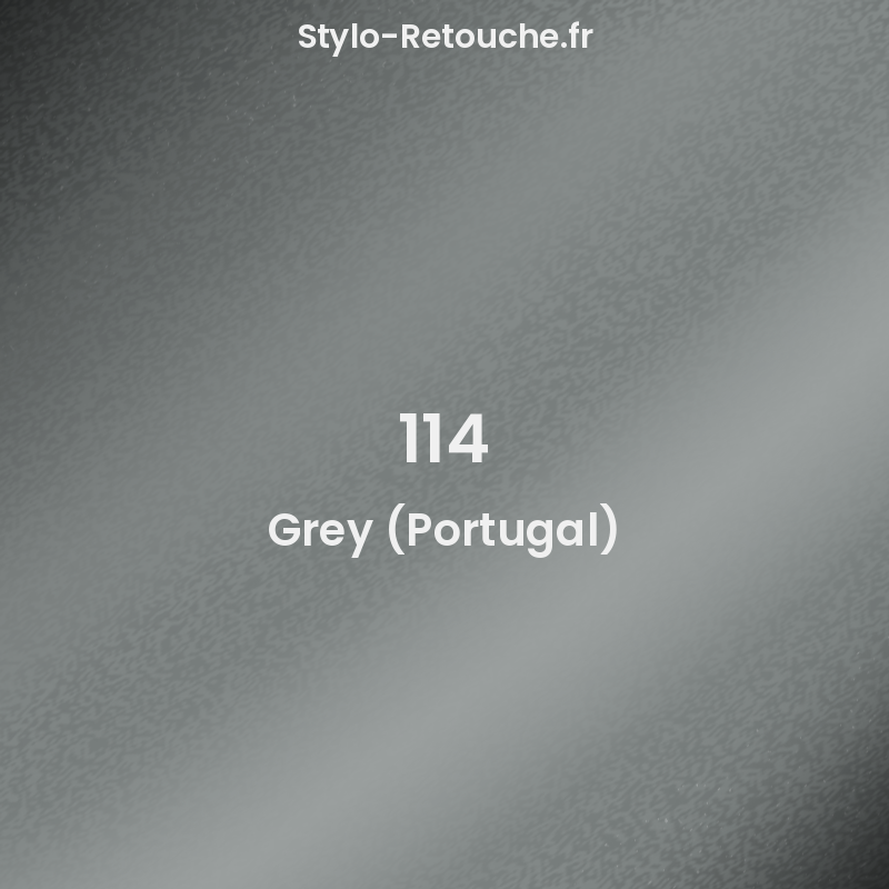 Stylo Retouche Toyota 114 Grey (Portugal) - Stylo-Retouche.fr